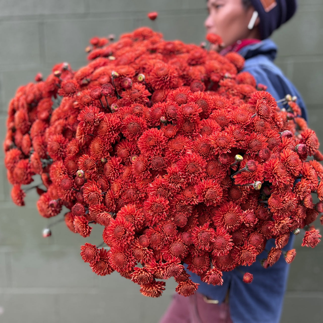 Dahlias + Mums | Sunny Meadows Flower Farm