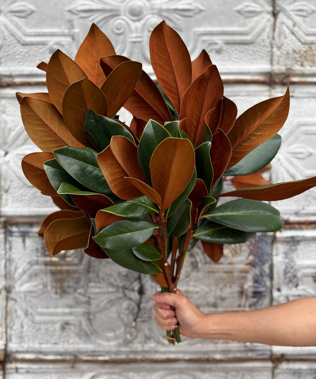 Holiday Magnolia Bunch | Sunny Meadows Flower Farm