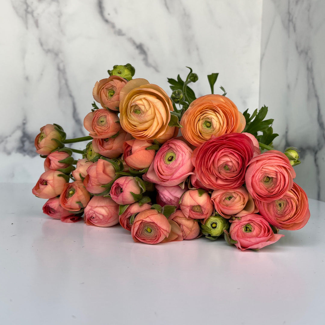 Ranunculus Corms For Salenull
