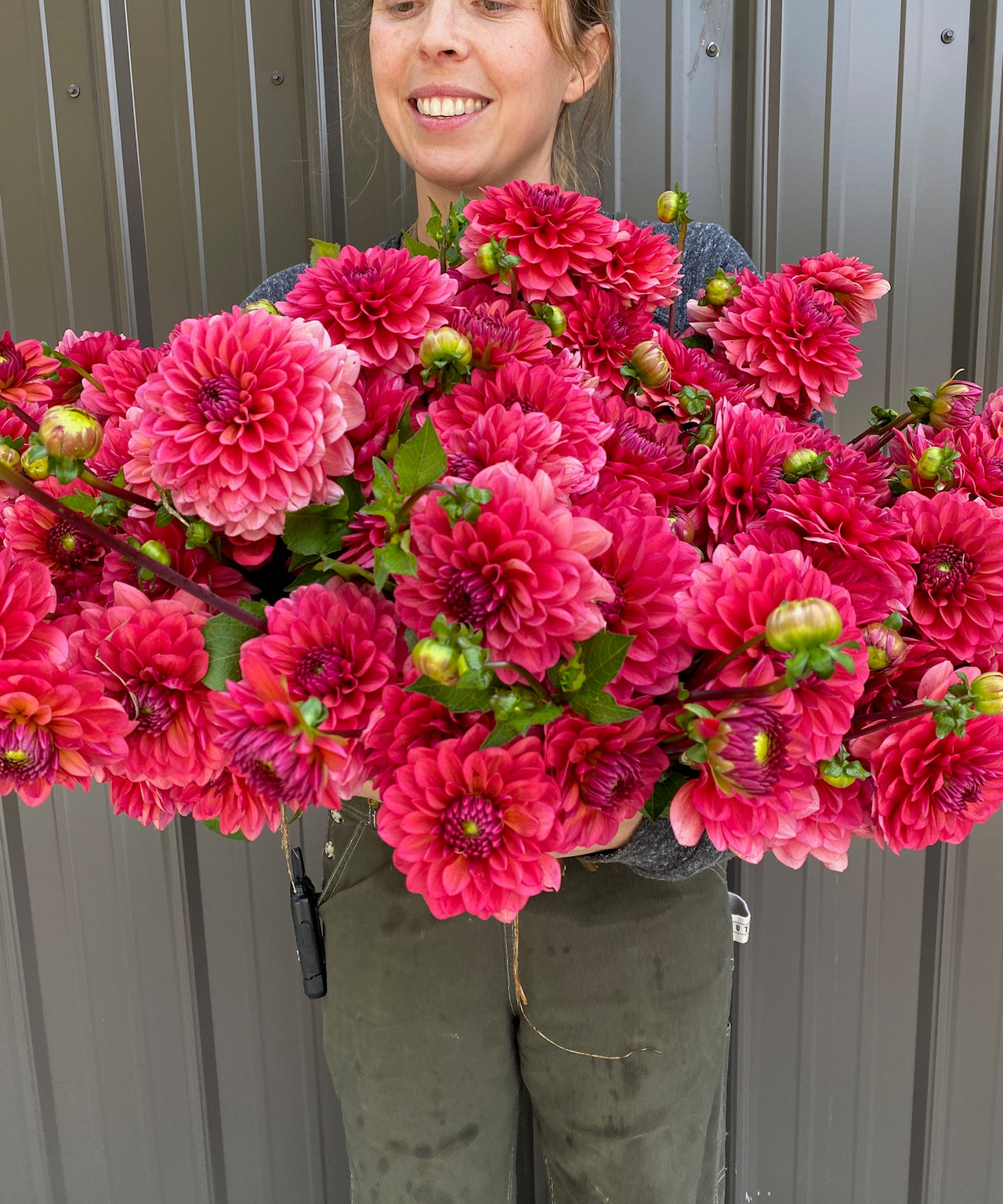 Dahlia Tuber Salmon Runner | Sunny Meadows Flower Farm